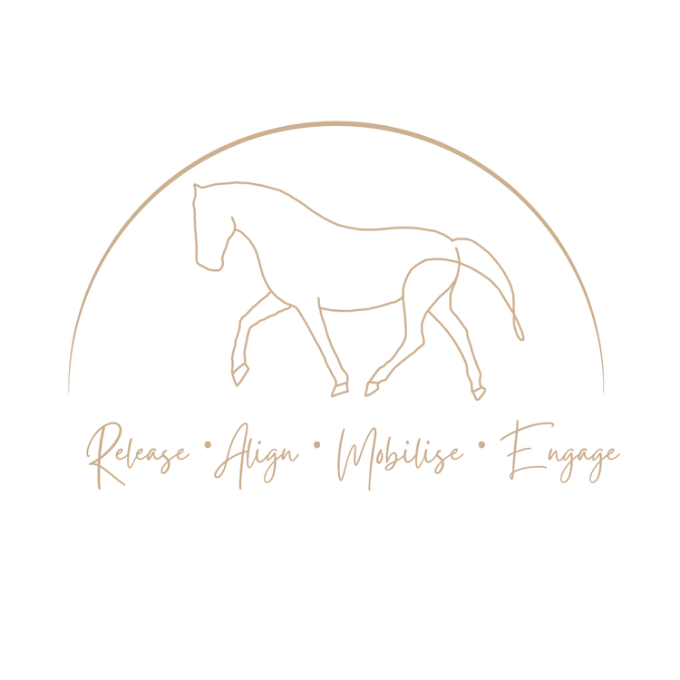 Services 3 — Vet Physio Phyle