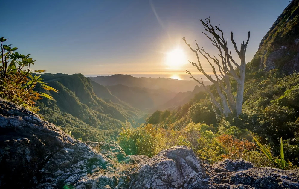 Essential Tools for Better Balance: Resources for Work, Life, and Self-Care