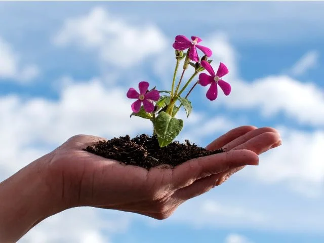 Top 20 Personal Growth Tools to Unlock Your Potential