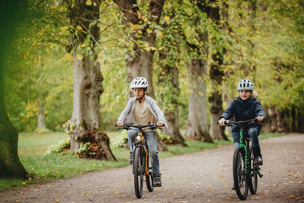 veloziped - Velokultur seit 1988