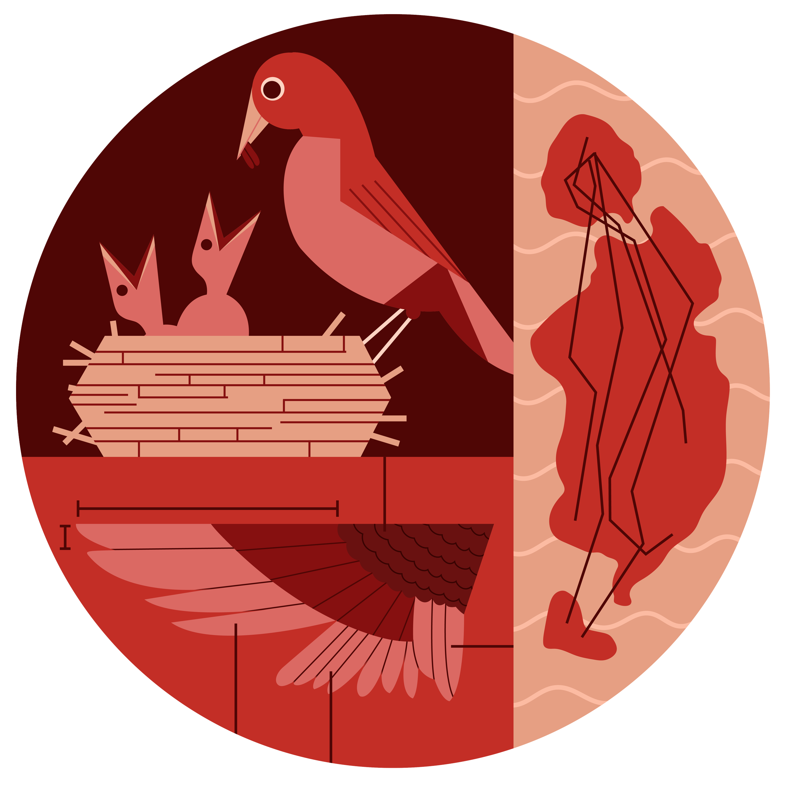Journal of Avian Biology — NSO Journals