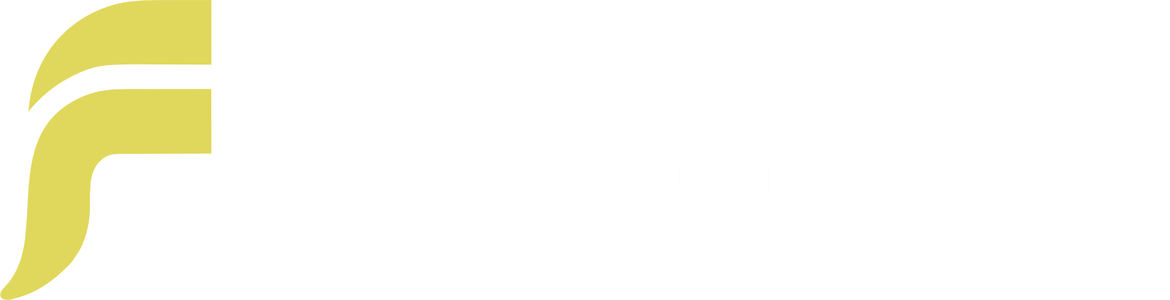 Fund Forward Consulting