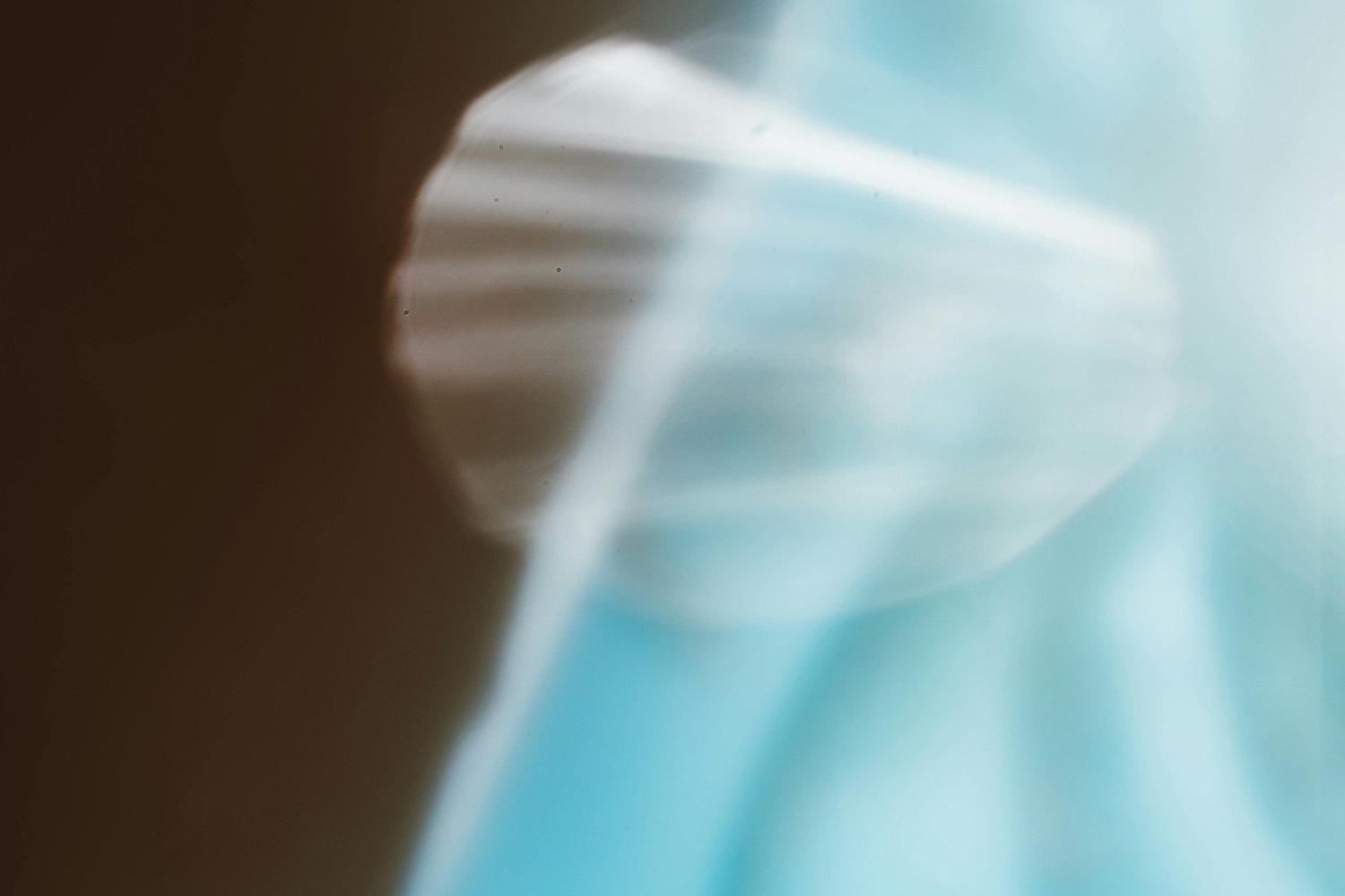 Issues in the Tissues: The Connection Between Fascia and Emotion ...
