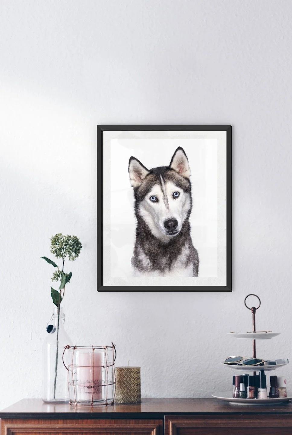 Fine Art Pet Photography | Steven Starr – Timeless Portraits of Your ...