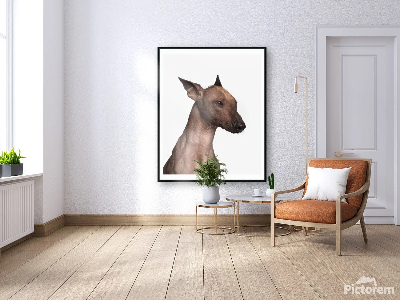 Fine Art Pet Photography | Steven Starr – Timeless Portraits of Your ...