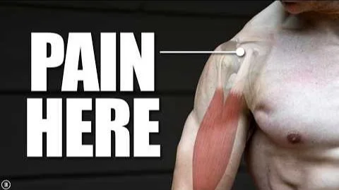 Shoulder Pain During Bench Press: Causes and Solutions — Elite HP