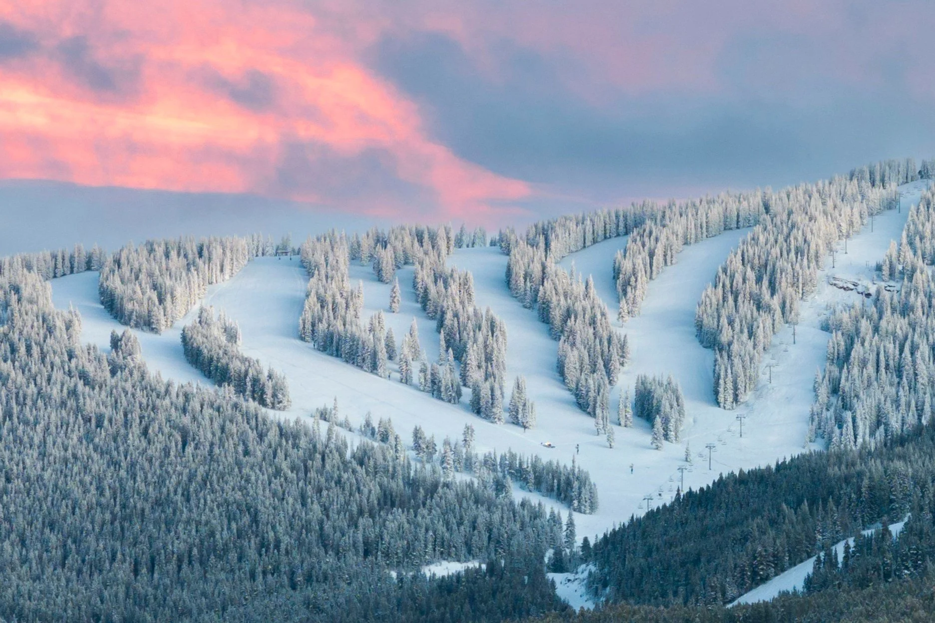 Ski Race Timing — Brower Timing Systems