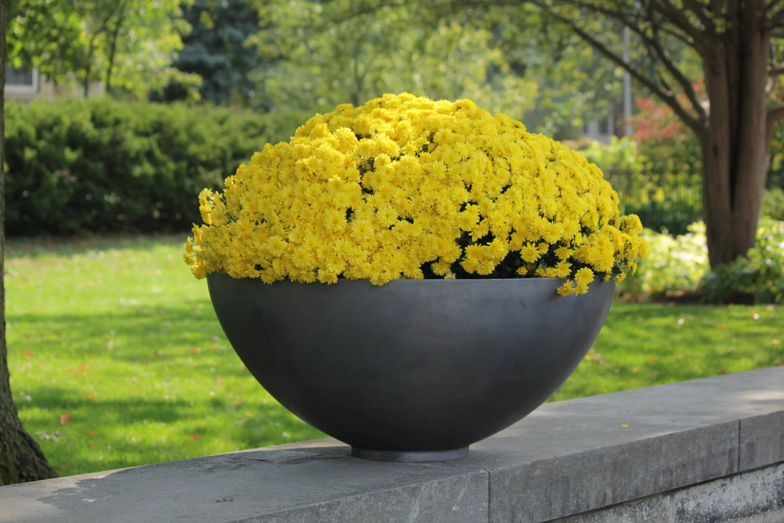 PRODUCTS | Quality Garden Planters Hamilton | Stylish Outdoor Planters ...