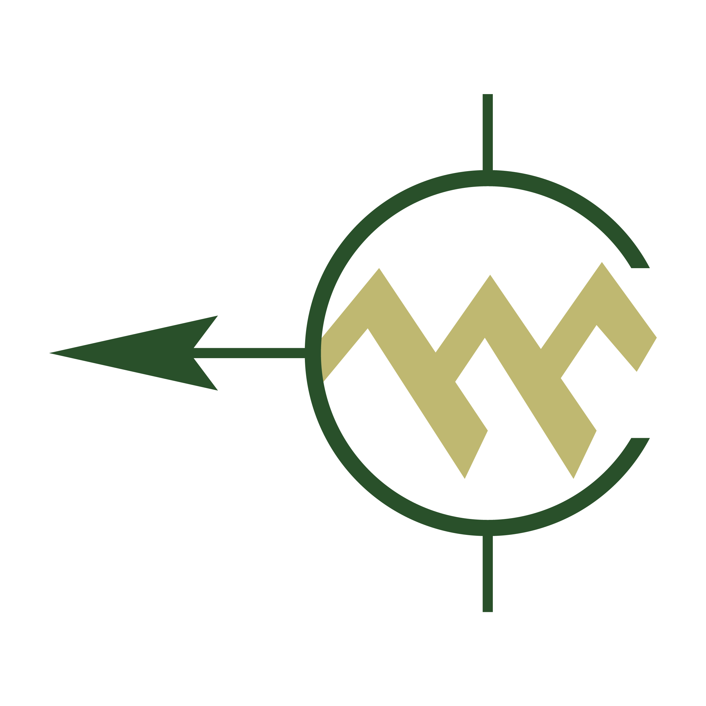 Our Team — West Consultants