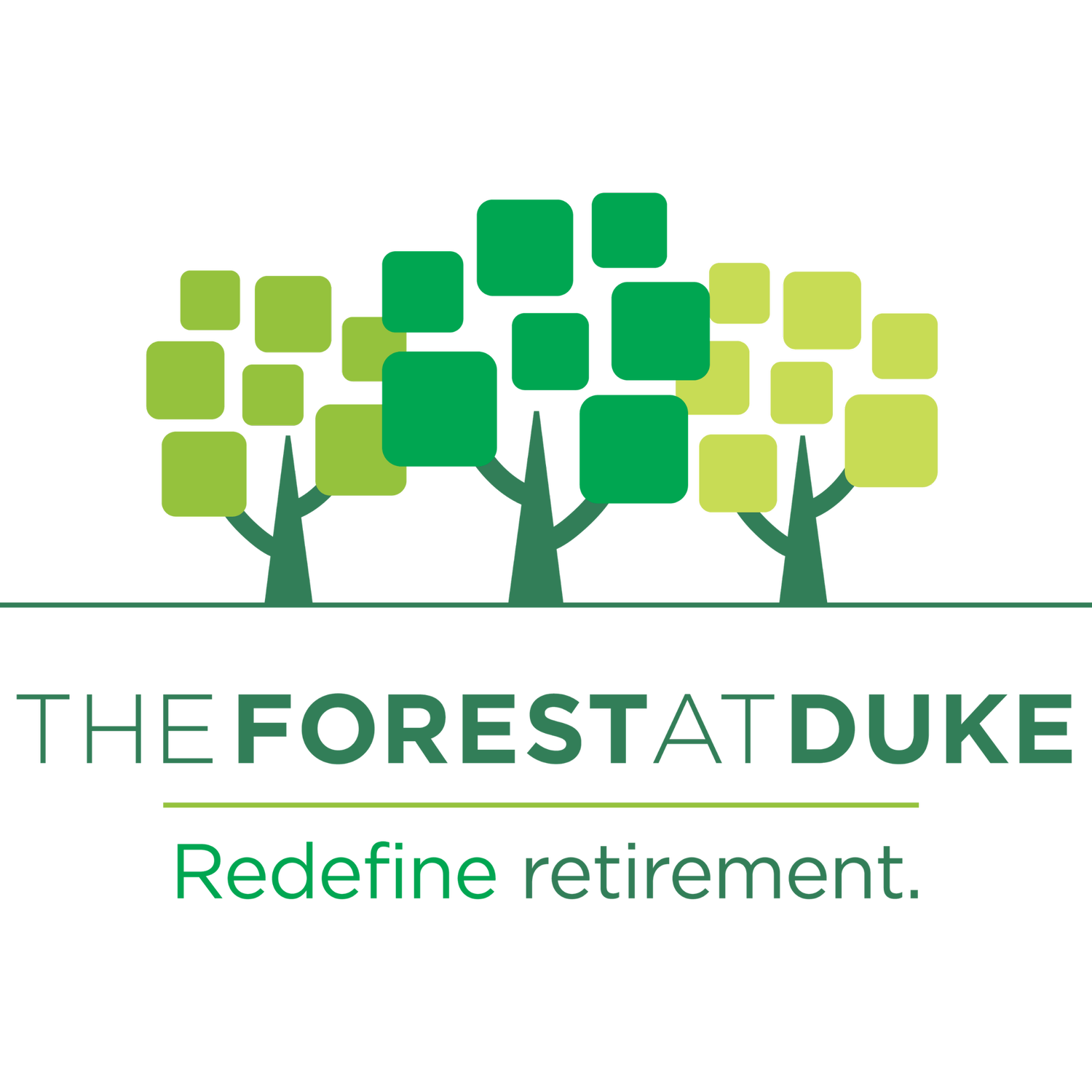 Flags For Heroes - Rotary Club of Durham NC