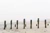 Mark Hillyer: Documentary & Portrait Photography