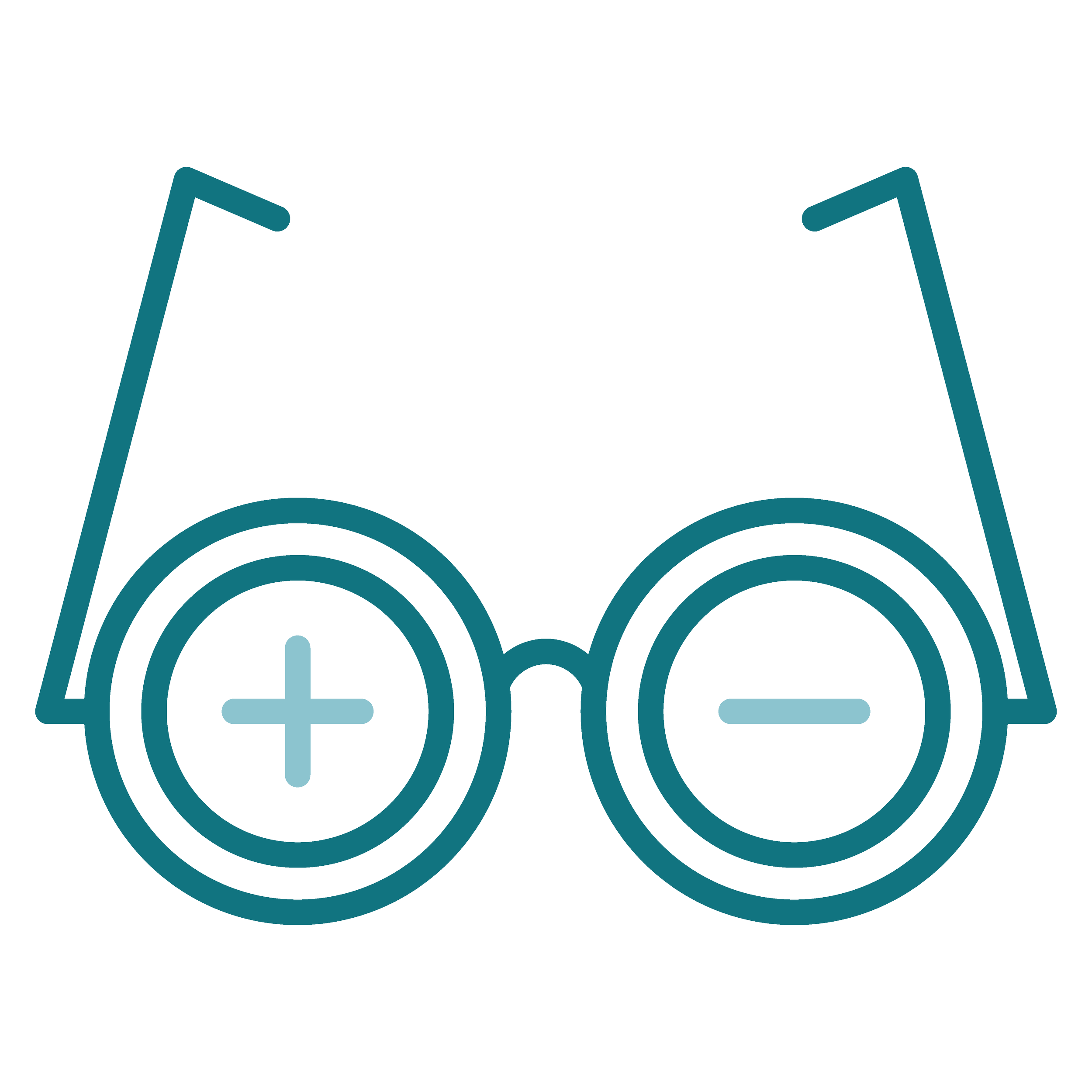 LeMars Optometric