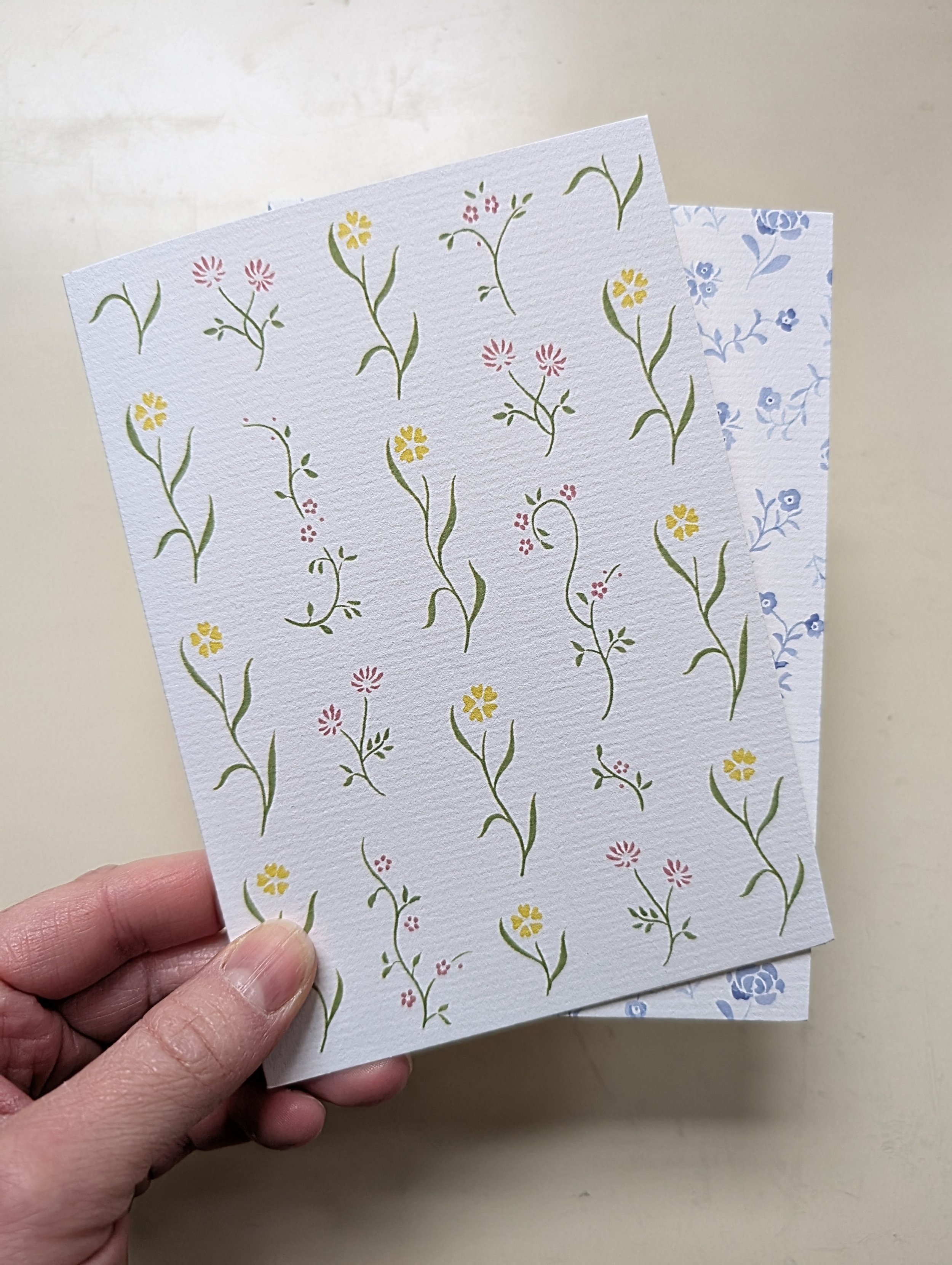 Anna Bray Illustration