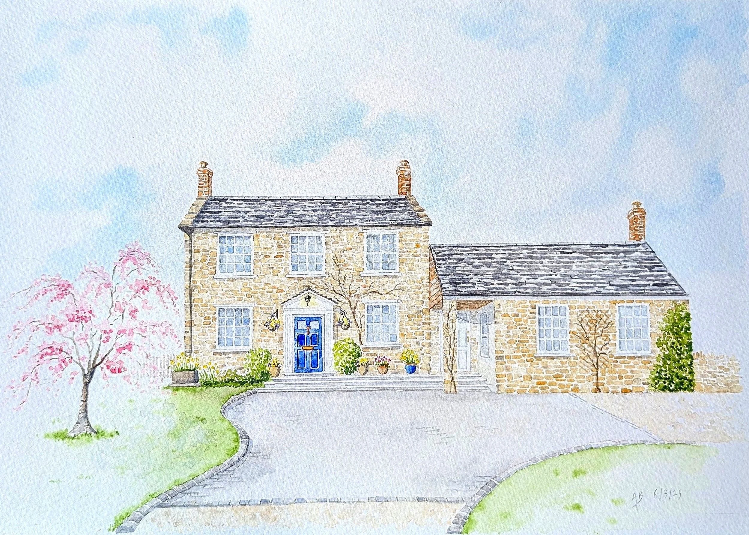 Anna Bray Illustration