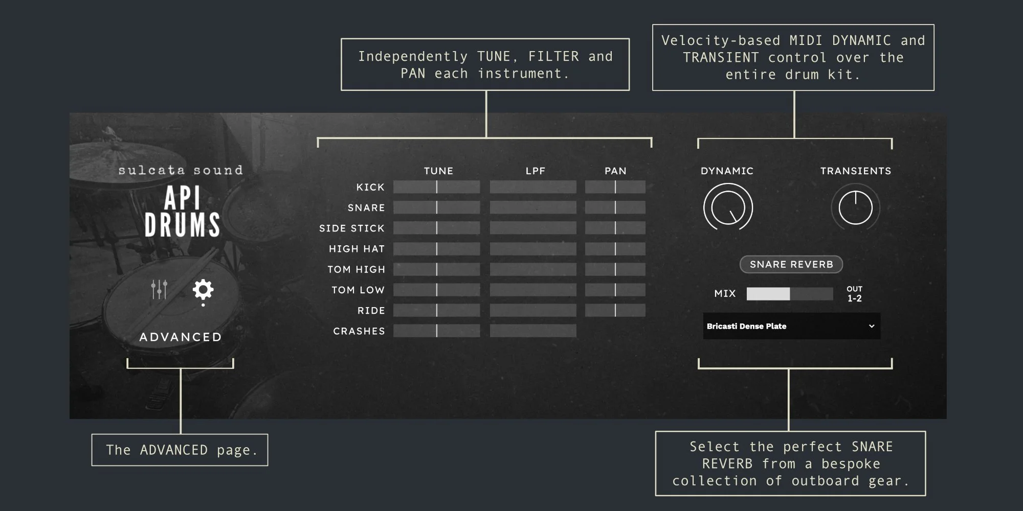 API Drums — sulcata sound