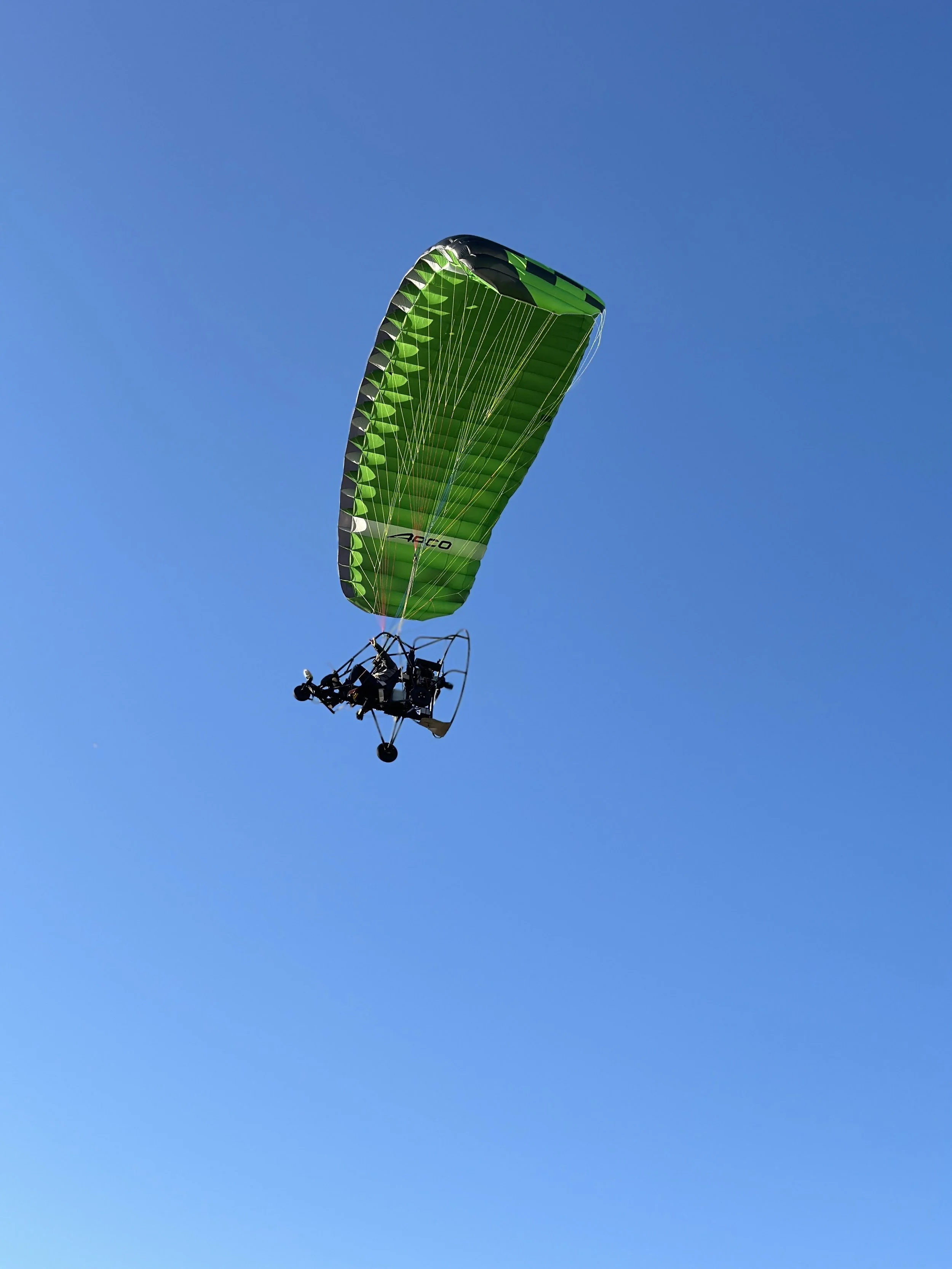 Six Chuter International