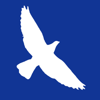 Aidex Pest Management