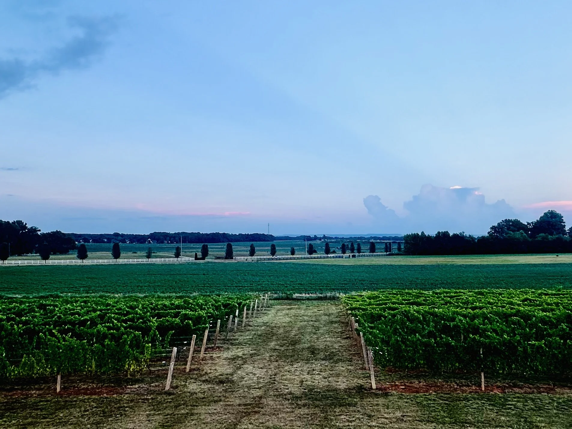 La Famiglia Vineyards & Winery