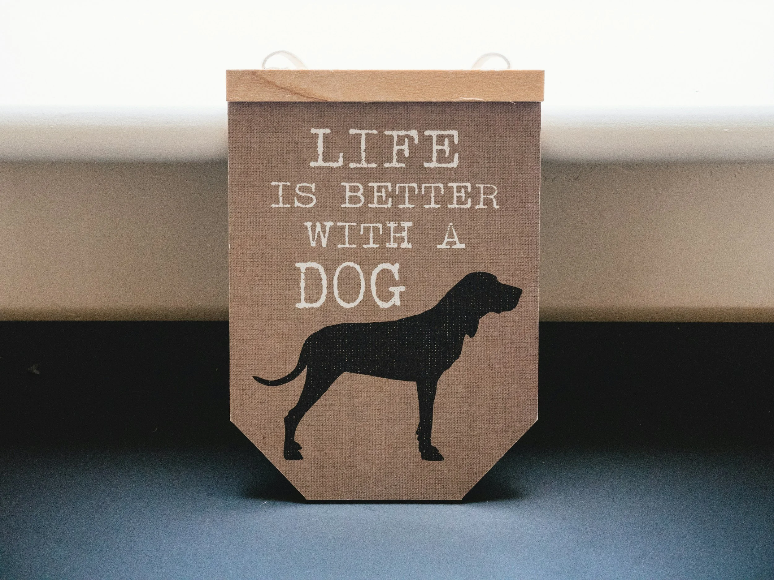 Amazon Dog Gifts— 20 Doggy Decor Items From Amazon To Liven Your Home ...