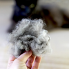 5 Proven Ways to Get Rid of Hairballs for Good — LittleBlackDawg