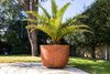 Our Collection | Explore Unique Pot Designs Today — Torc Pots