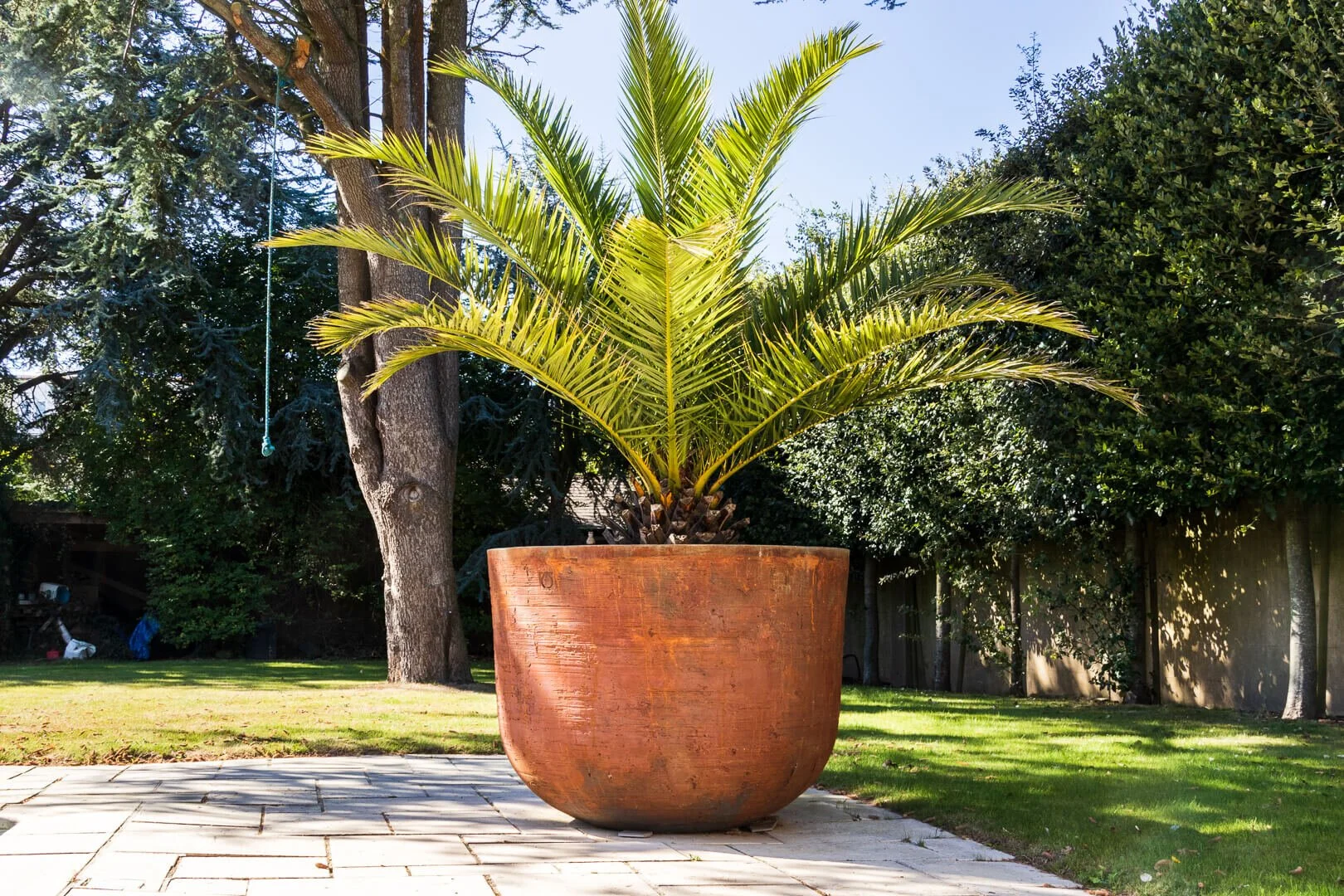 Our Collection | Explore Unique Pot Designs Today — Torc Pots