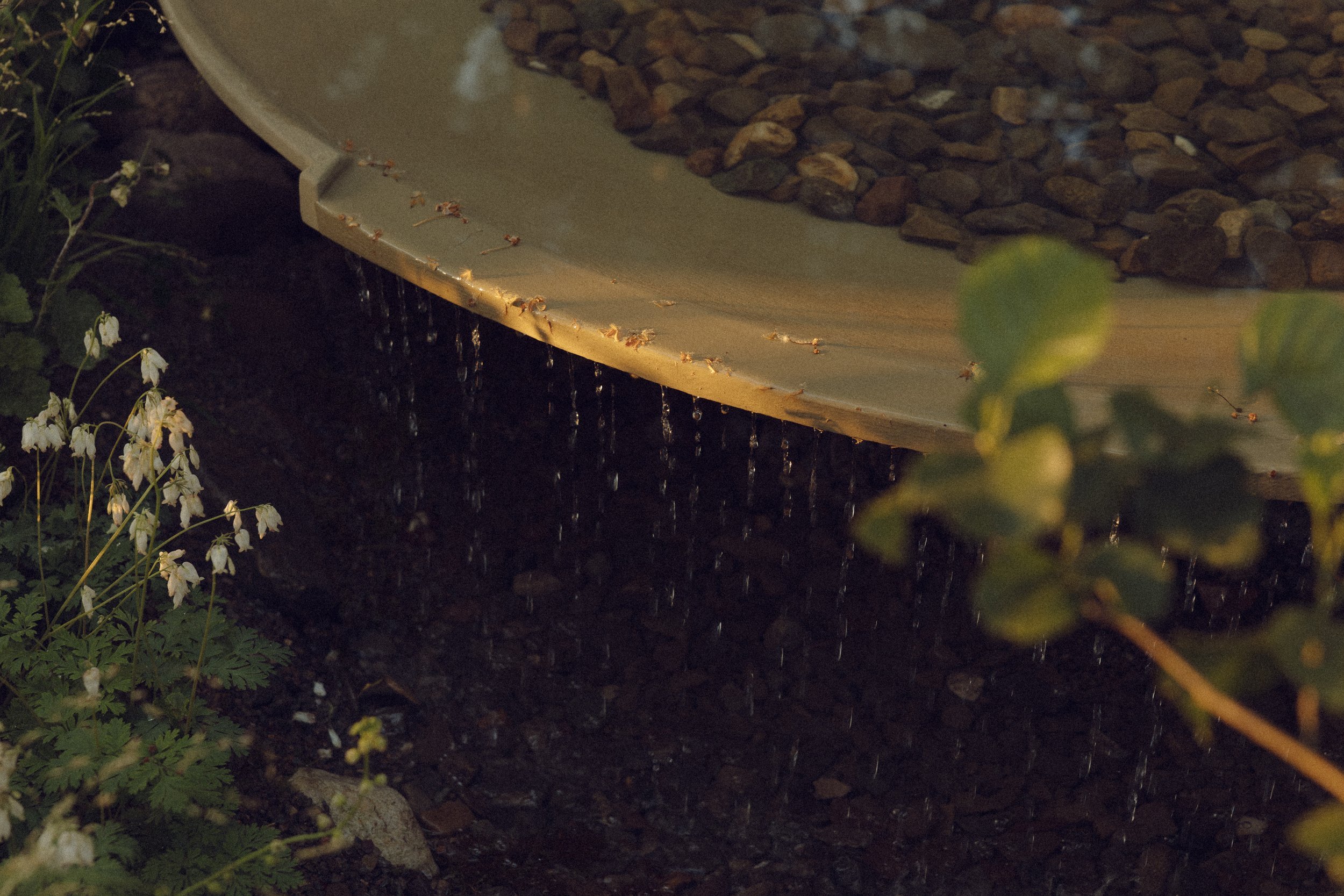 Forest Bathing Garden, RHS Chelsea Flower Show 2024, London. — Torc Pots