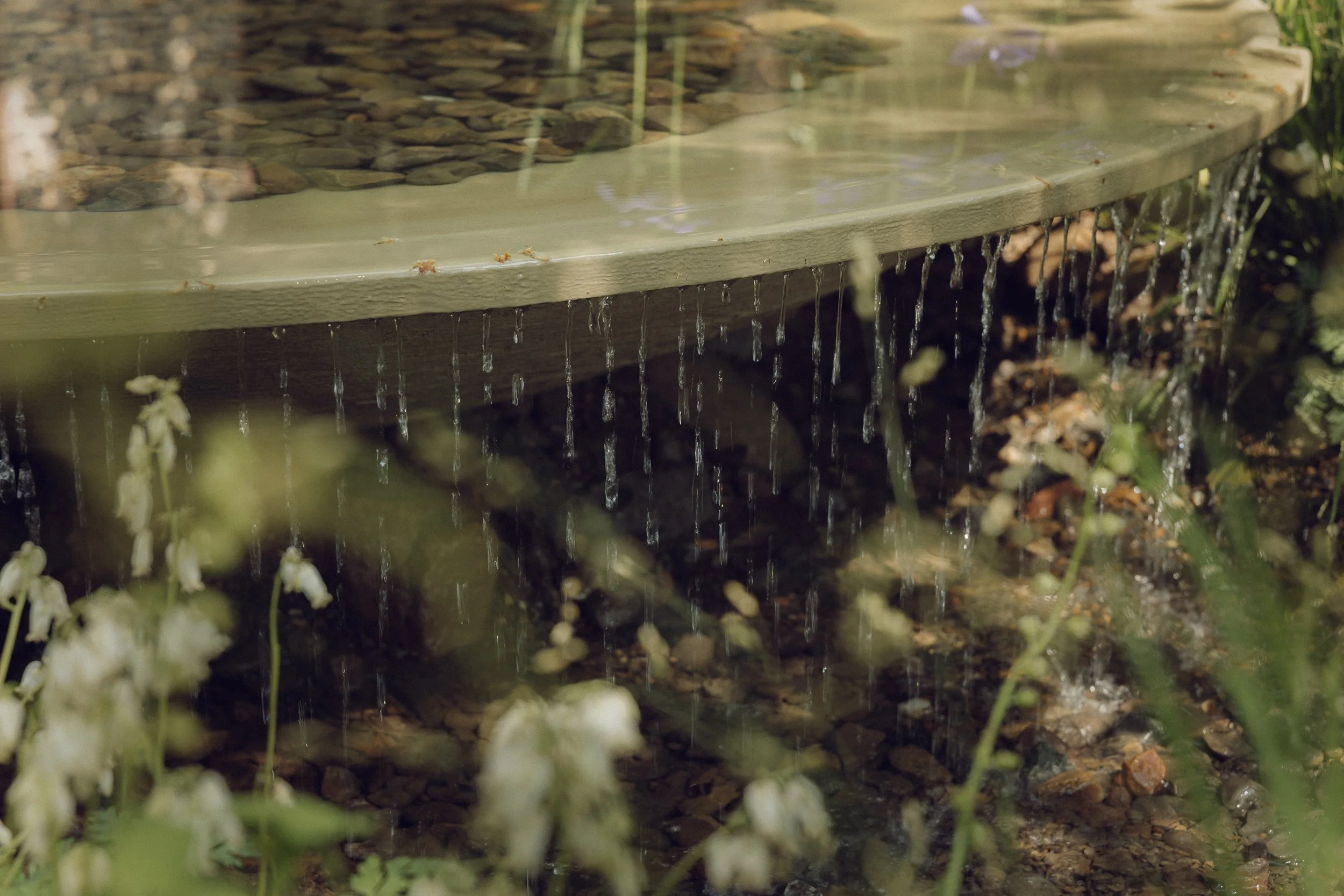 Forest Bathing Garden, RHS Chelsea Flower Show 2024, London. — Torc Pots