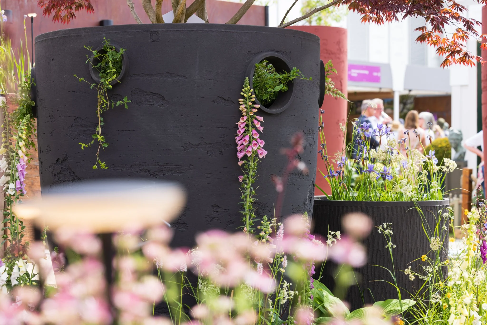 RHS Chelsea Flower Show 2025 — Torc Pots