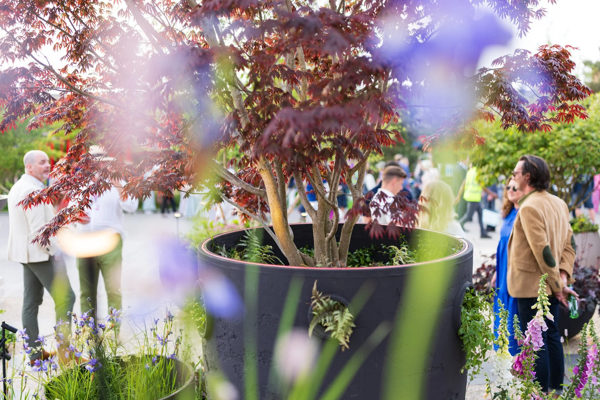 RHS Chelsea Flower Show 2025 — Torc Pots