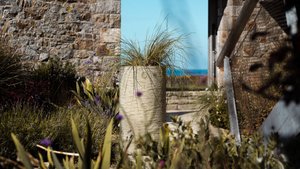 Torc Pots | Discover Custom Pot Solutions