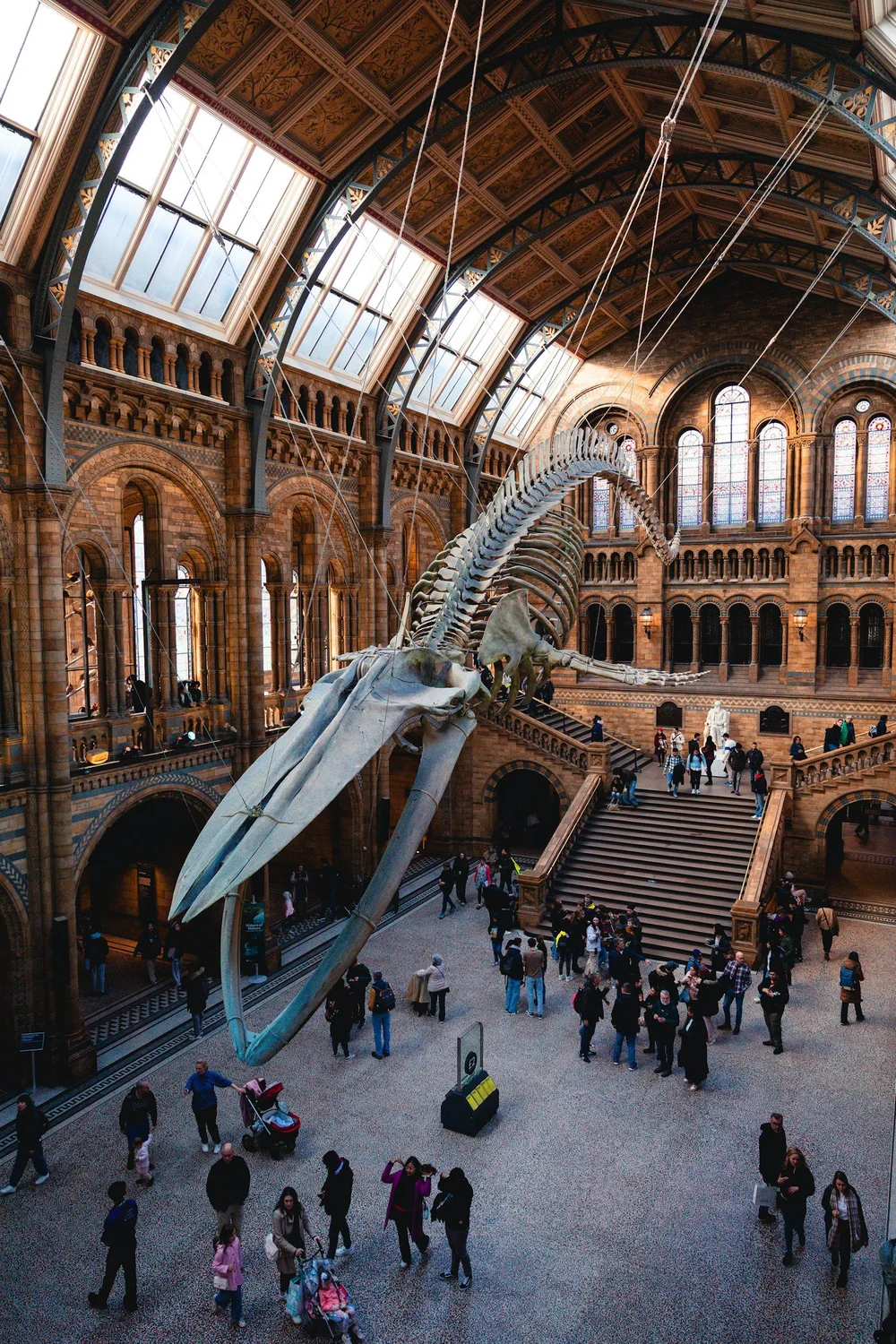 Photobooth Ideas for Science Fairs and Exhibitions — Vivid Curiosity