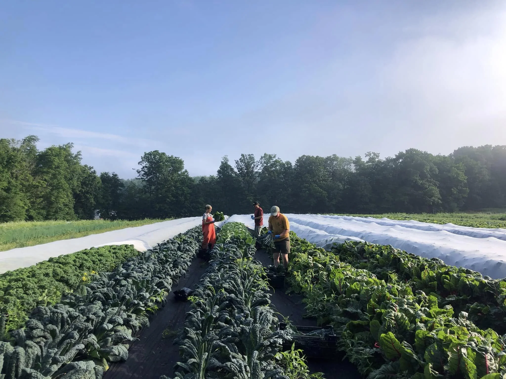 Mighty Food Farm