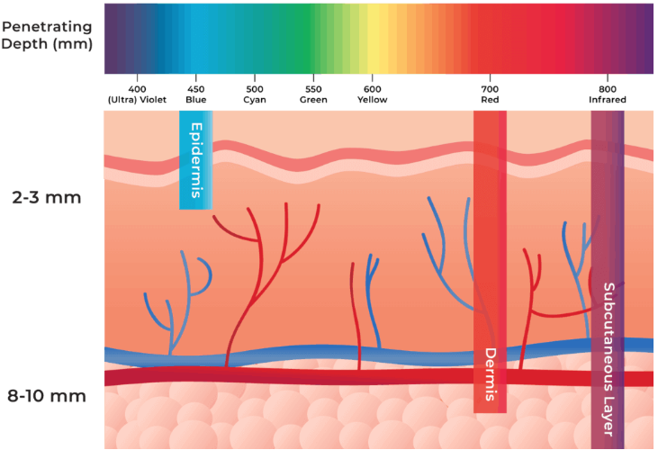 Does Red Light Therapy Work? Science Explained — Medford Red Light Therapy