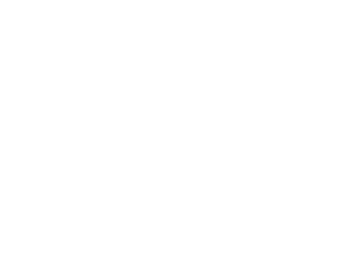 lil chef institute
