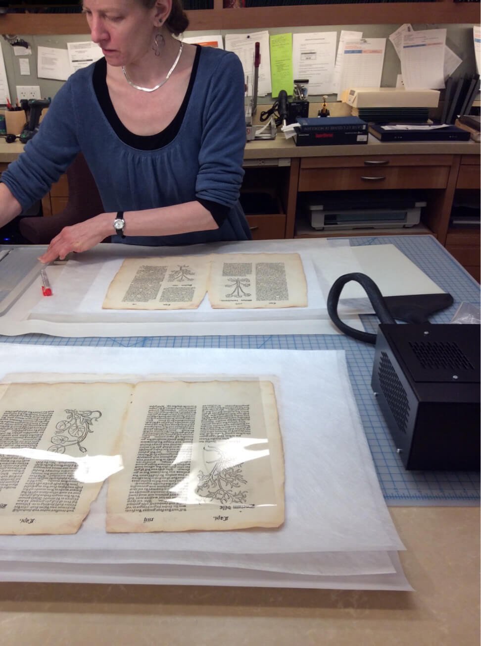 Paper & Parchment Repair | Restore Damaged Books & Documents — Faenwyl ...