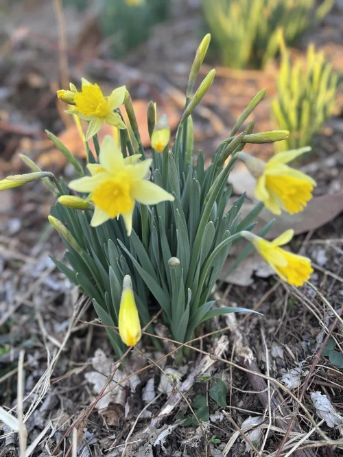 Loucon Training and Retreat Center