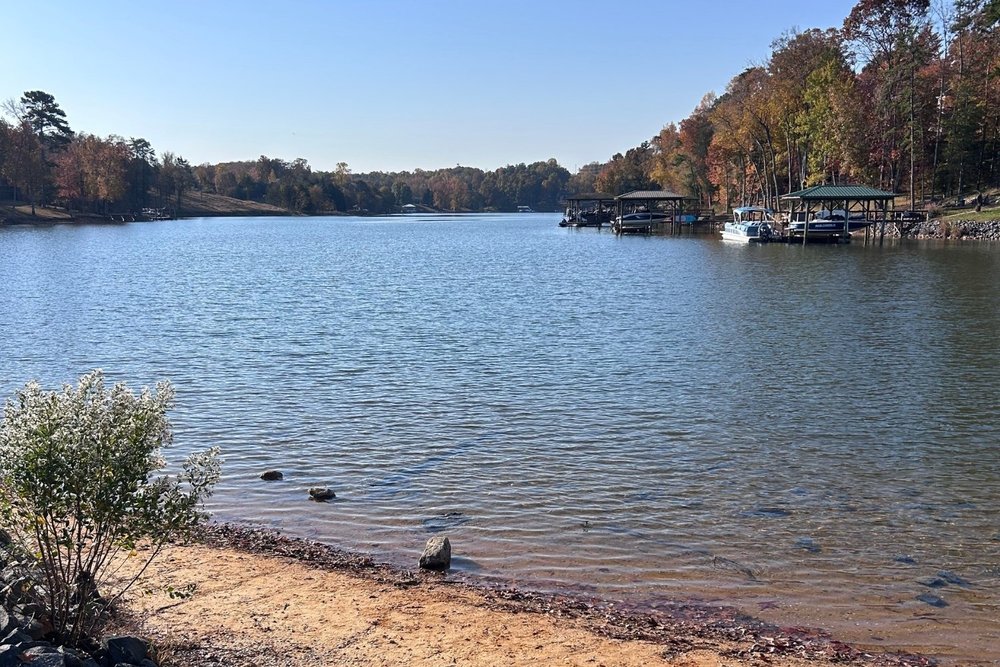 Live Tega Cay | Discover Tega Cay — Explore Now