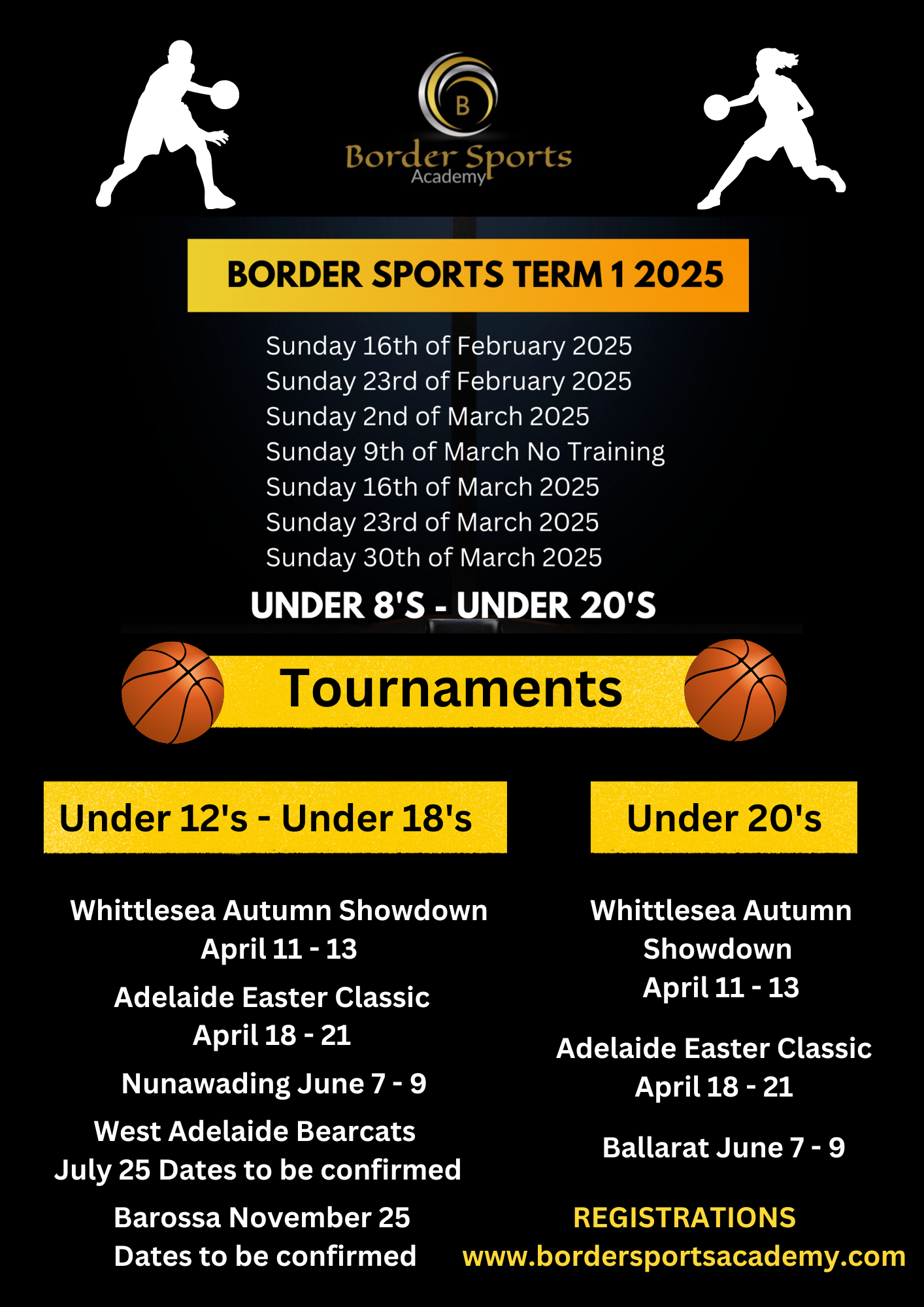 Border Sports Academy, Basketball Skill Development and tournament ...