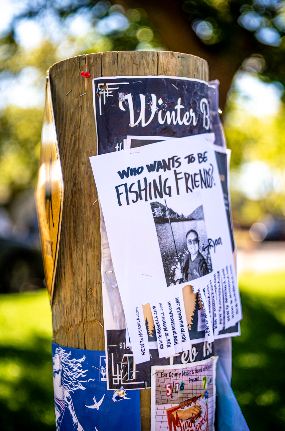 Whitefish Credit Union Billboards and Strategy — Up To Something