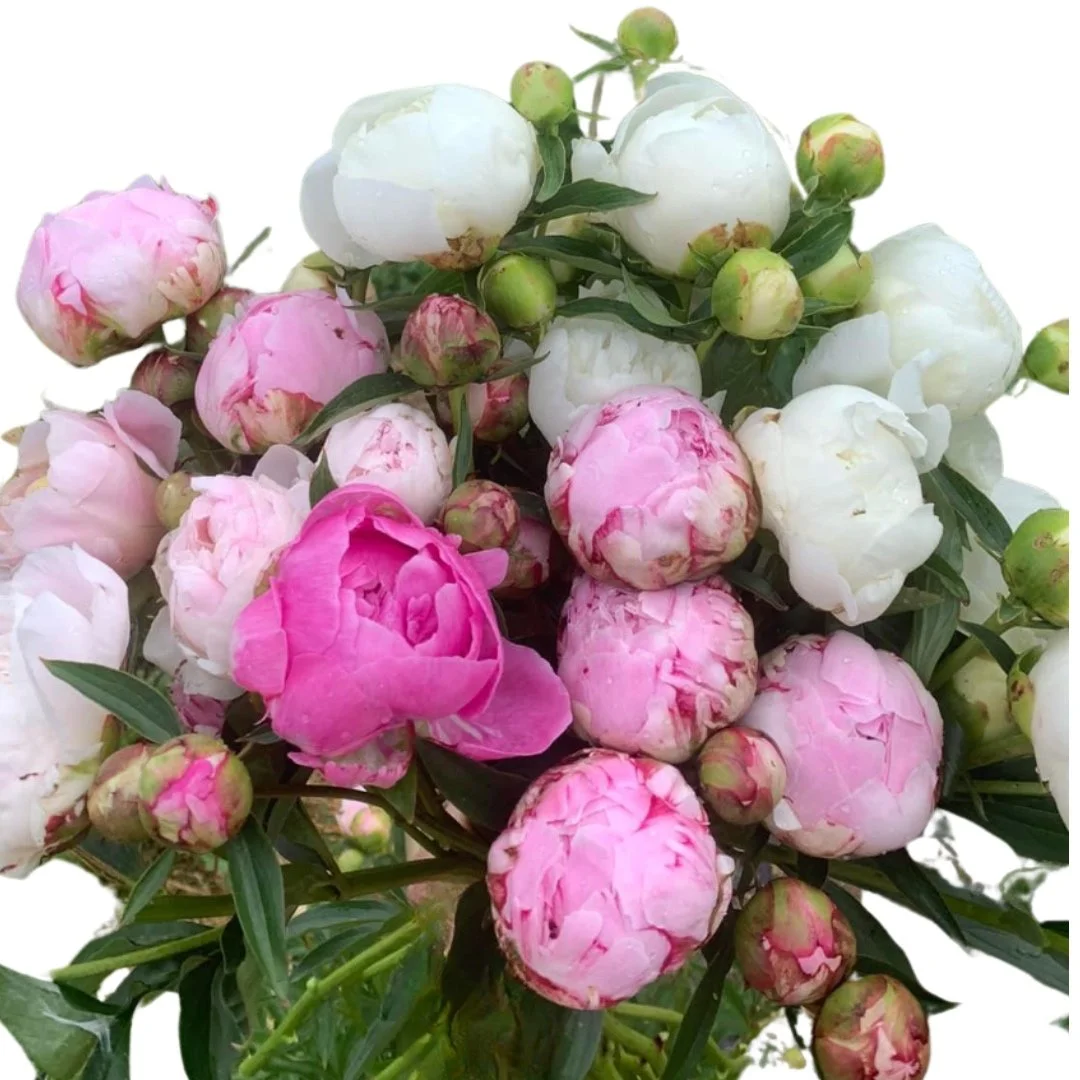 Late Bloomers Flower Farm, LP