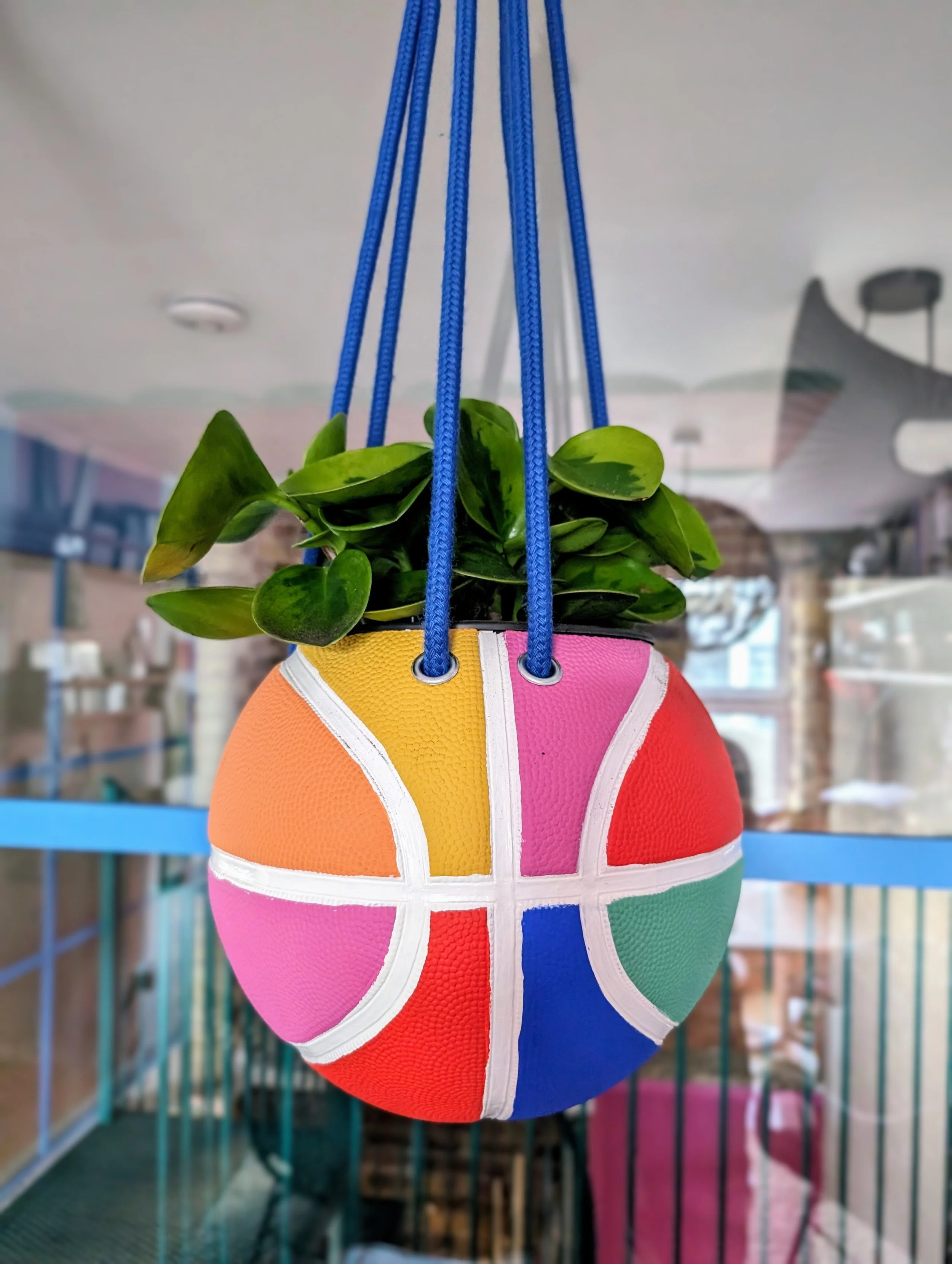 DIY: Upcycle Your Old Basketball into a Vibrant Hanging Planter ...