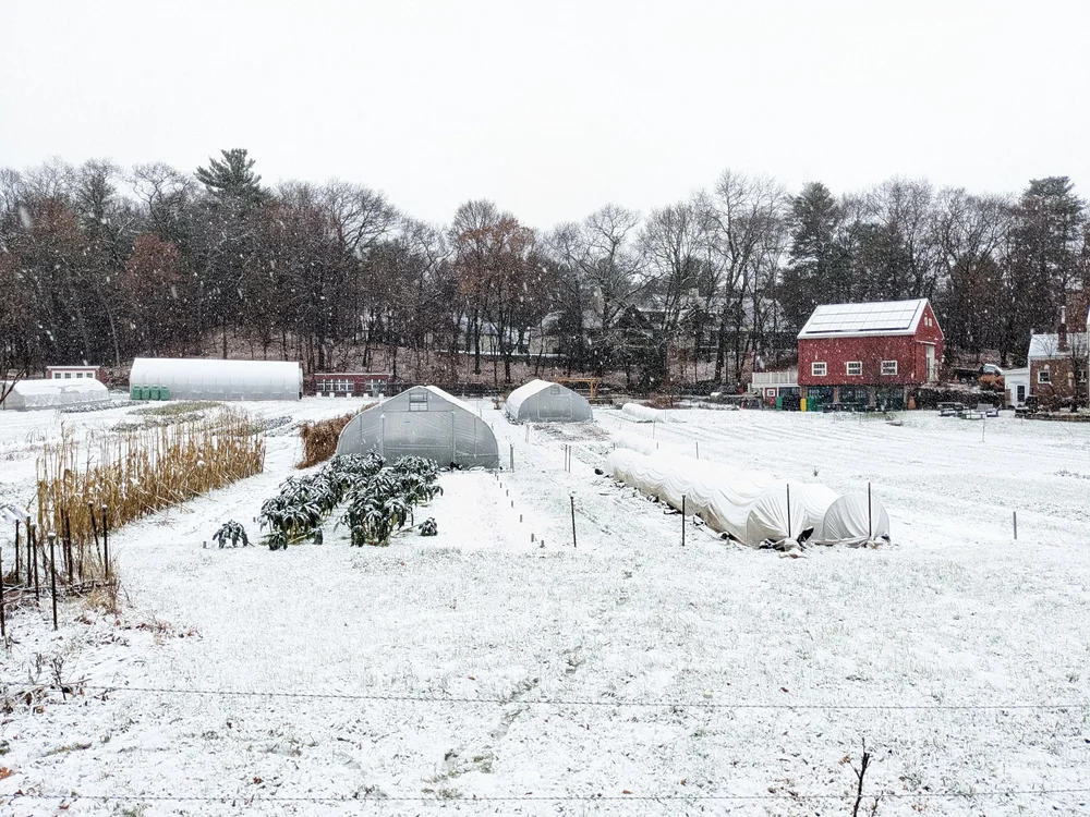 Newton Community Farm
