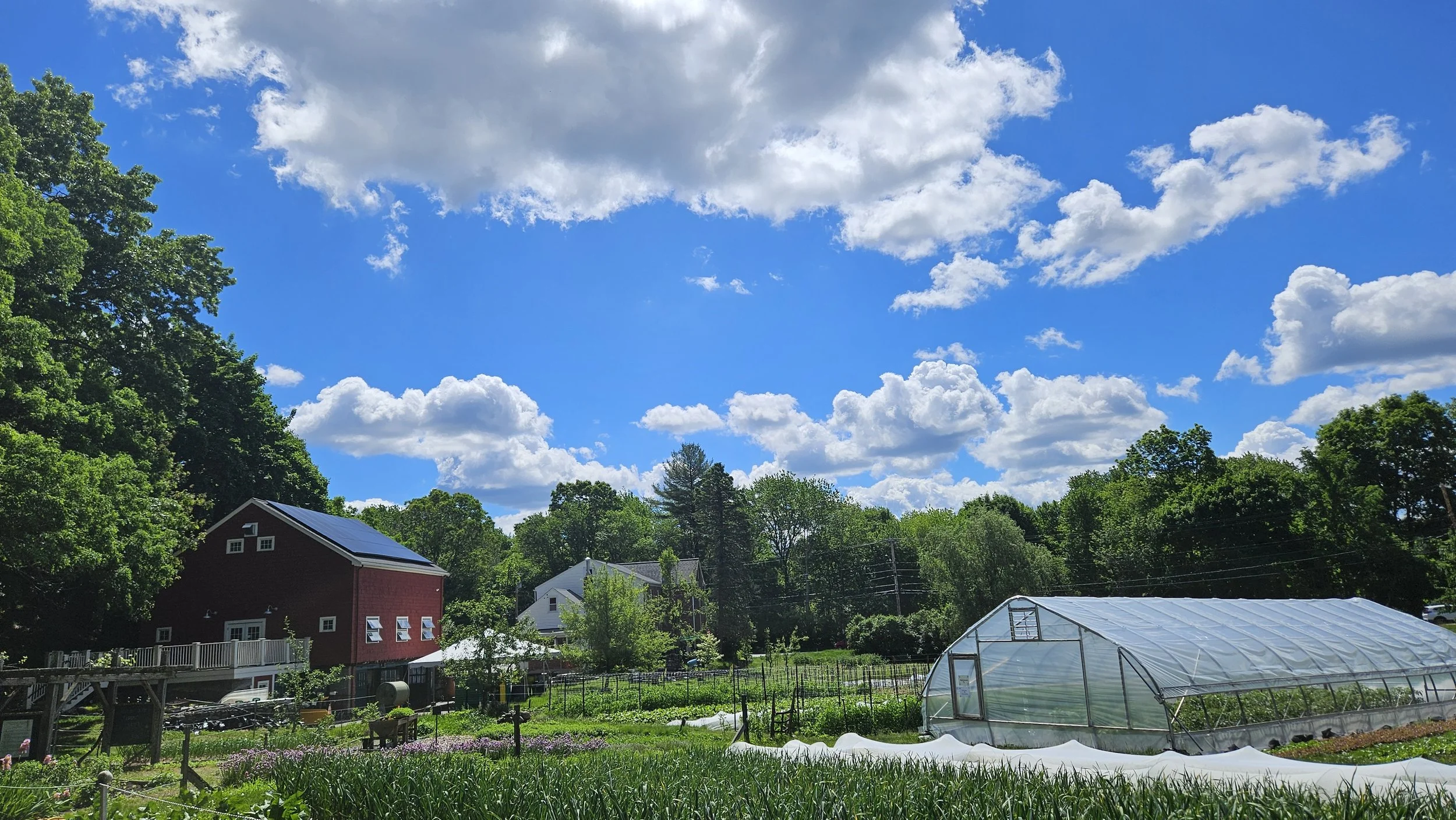 Newton Community Farm