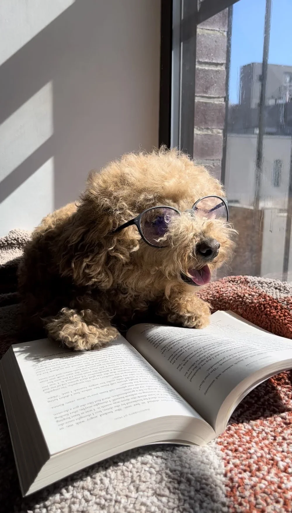 madisonpotterliteraryagent.com