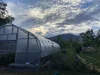 First Frost Farm