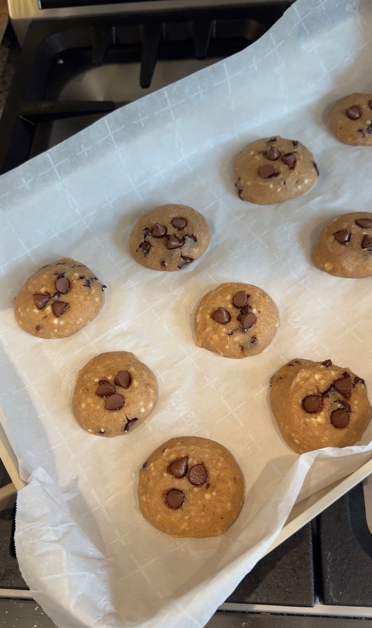 Protein Cottage Cheese Cookies — Shelby Say What