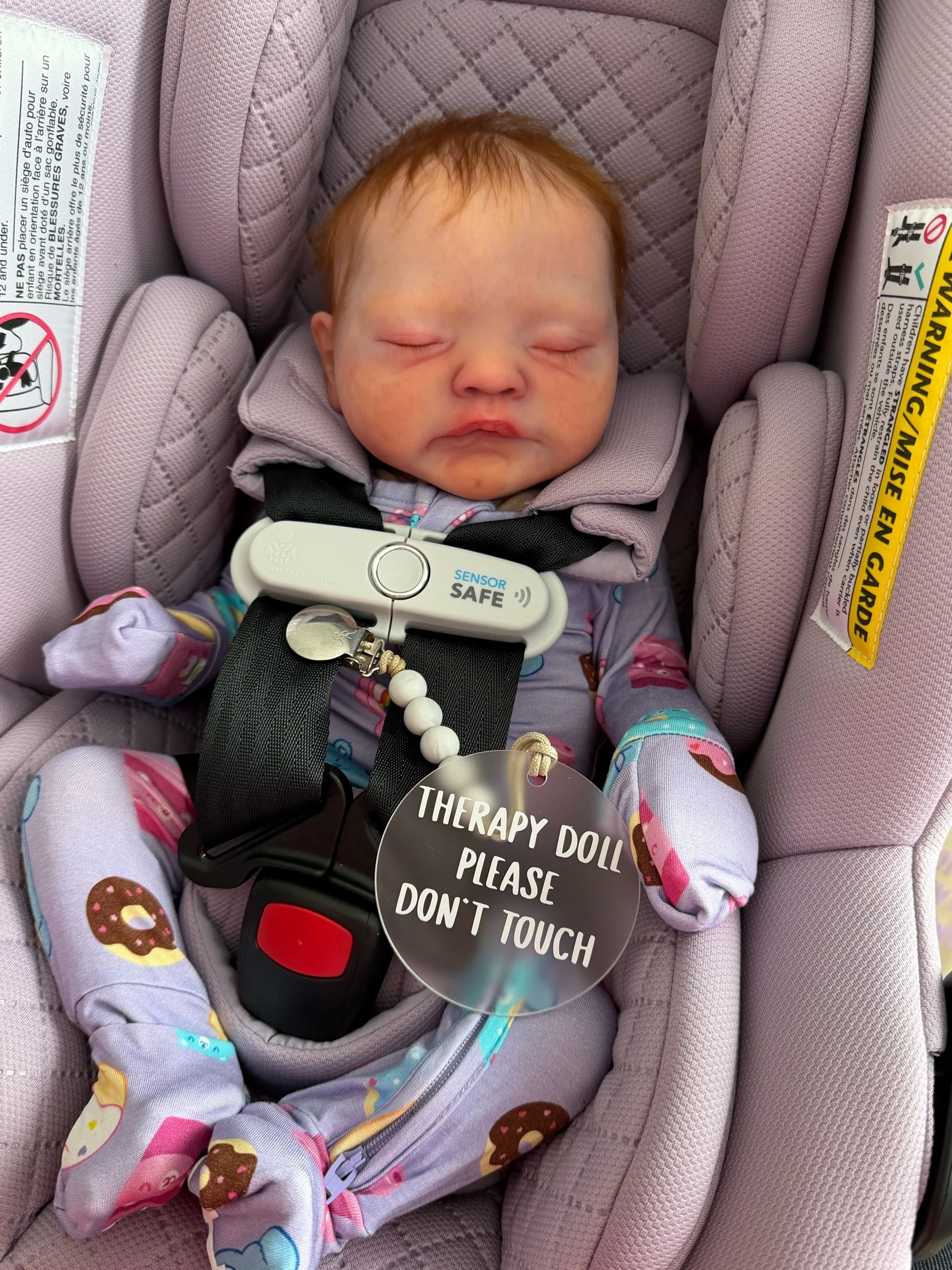 Doll Outing Sign- "Therapy Doll Please Don't Touch" Multiple Color ...