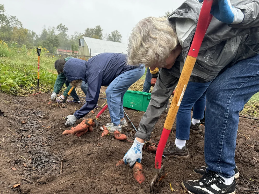 Volunteering at the Farm | Join Our Community — Martha's Community Farm