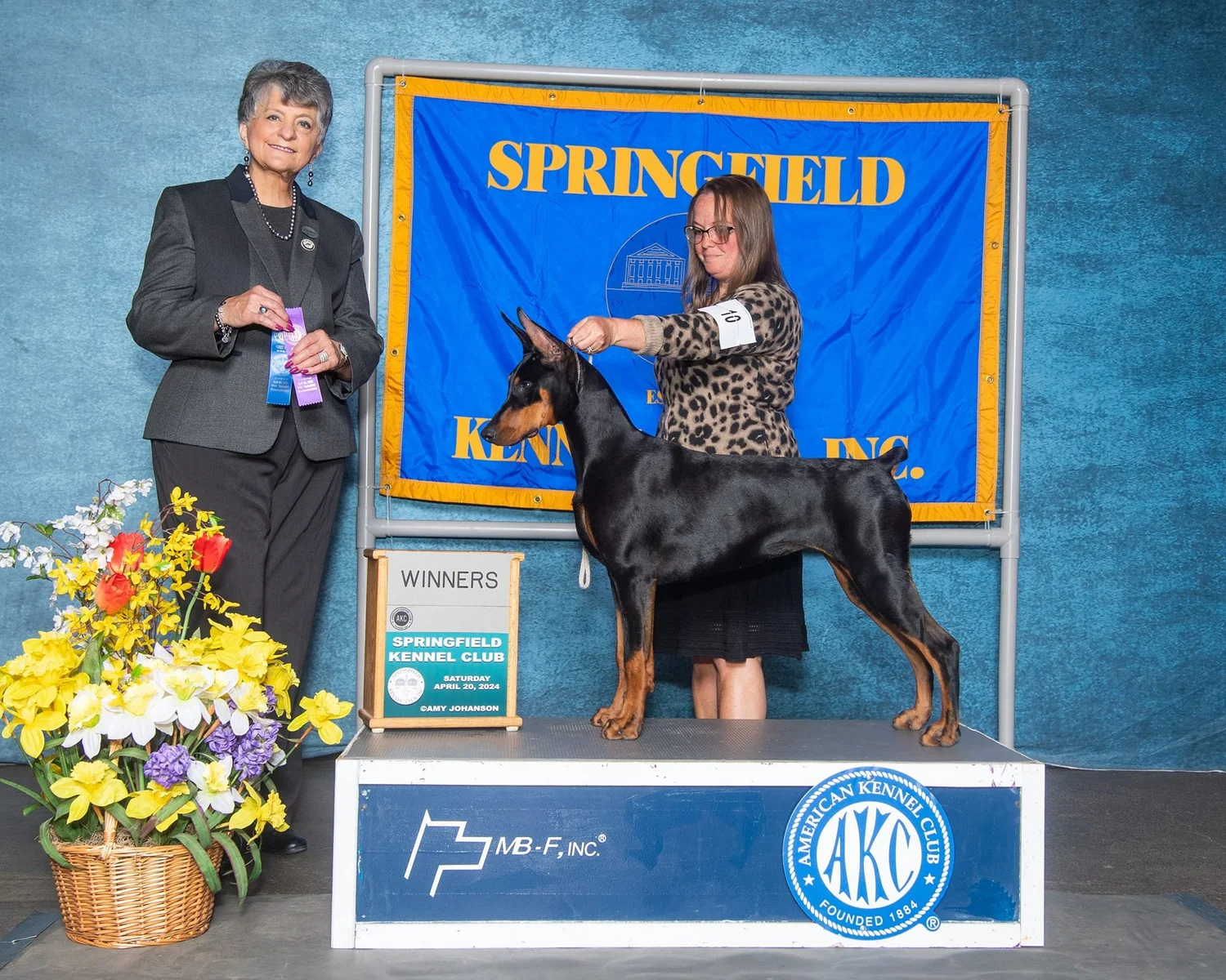 Our Dobies — Amity Dobermans